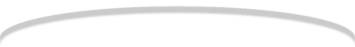 Denmark Community Center Capital Campaign